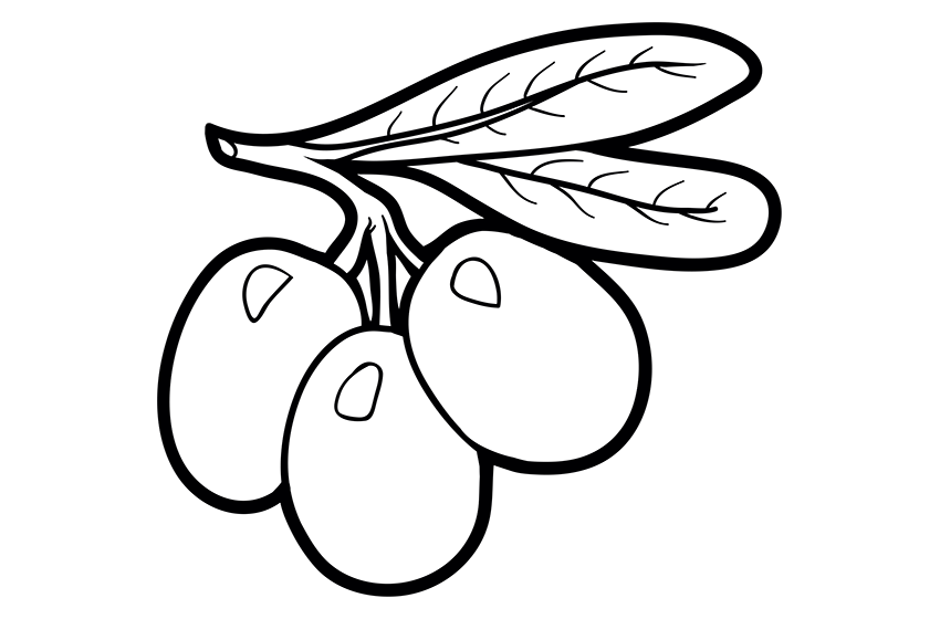 Darmowe kolorowanki dla dzieci od Dada • pokoloruj oliwki • Dada.pl